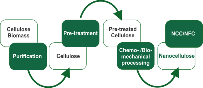 Chemo Mechanical Process for production of nanocellulose on Pilot Scale ...